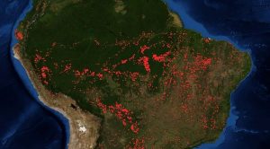 72,843 Amazon Fires in 2019: Brazil’s Biggest Wave of Fires and ...