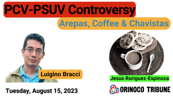 Luigino Bracci: Sometimes You Wonder if Some PSUV Members Are Playing ...